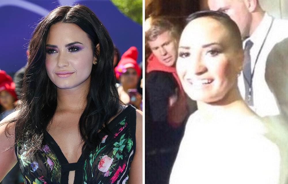 Demi Lovato Has Officially Embraced Poot Lovato | Girlfriend